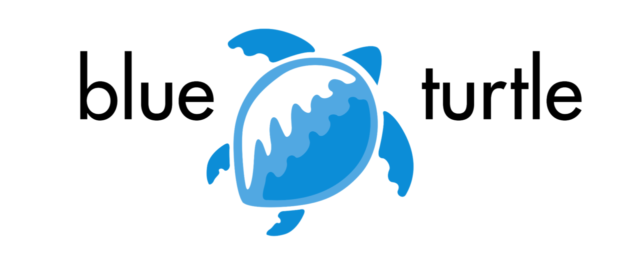 Enterprise Technology Company | Blue Turtle Technologies