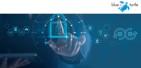 Cyber Solutions | Blue Turtle Technologies